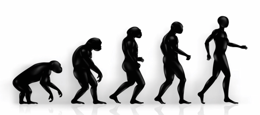 EVOLUTION: Rejected by God’s Word | Take Heed Ministries